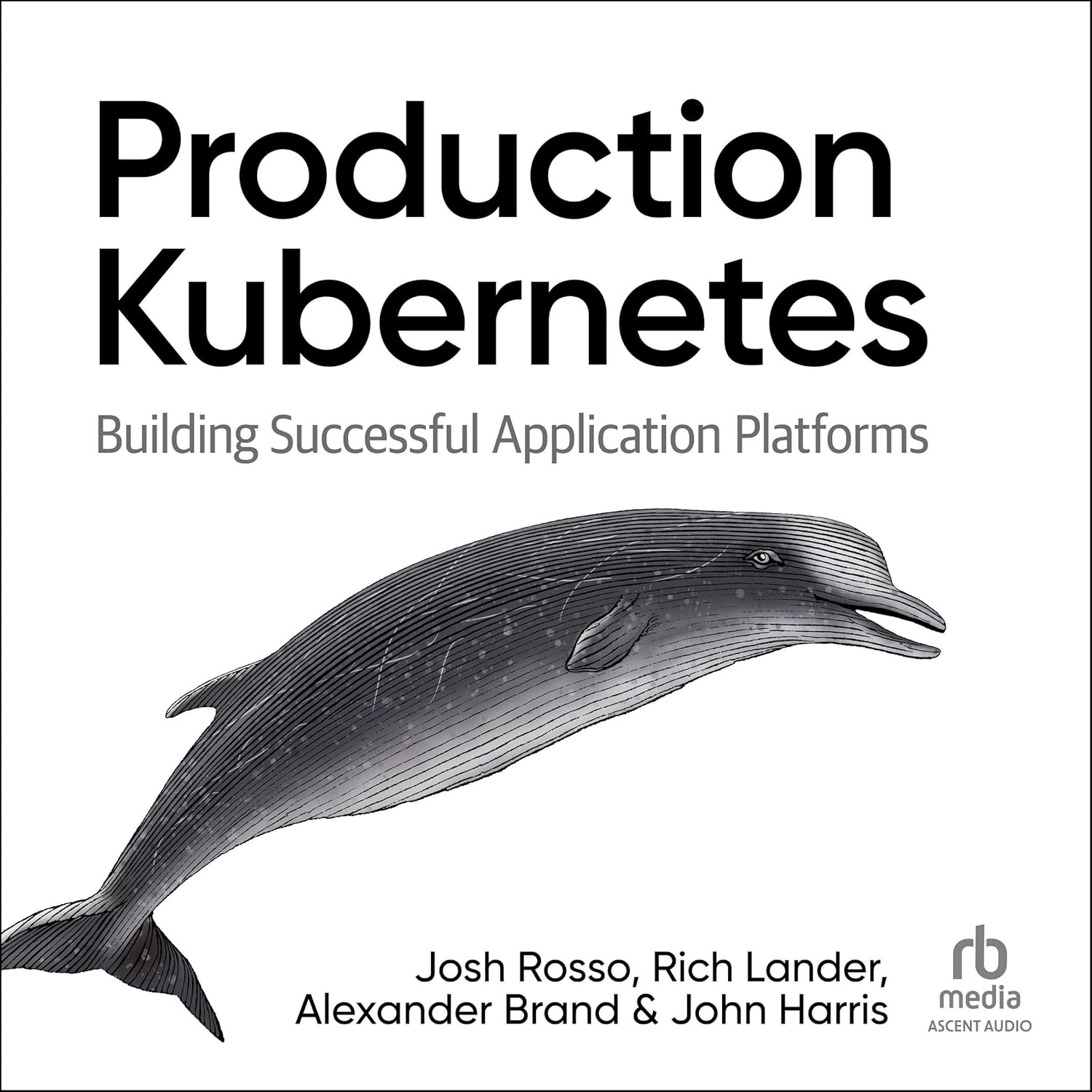 Amazon | Production Kubernetes: Building Successful Application ...