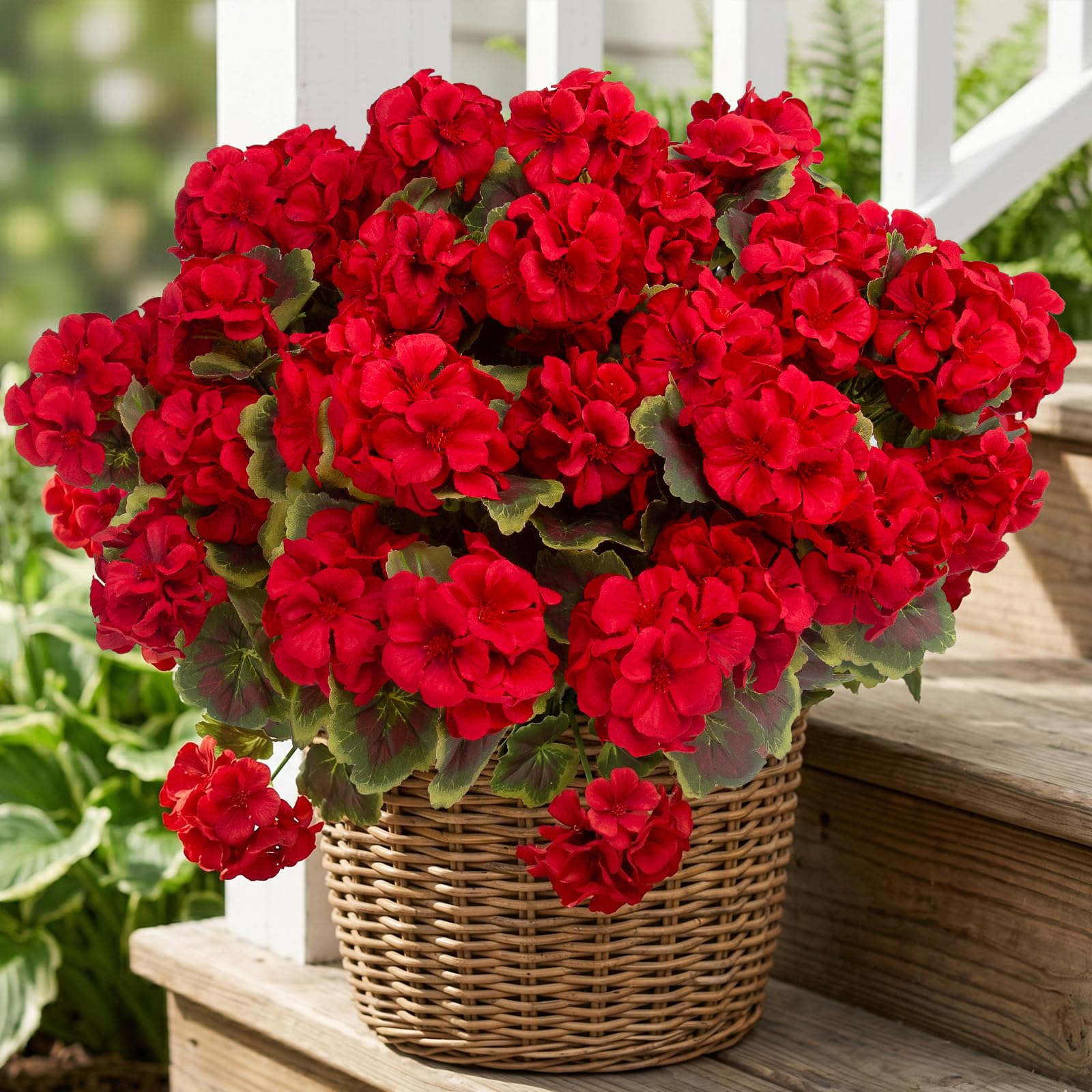 5 Best Cascading Geranium Plants | Skip The Dead Petals