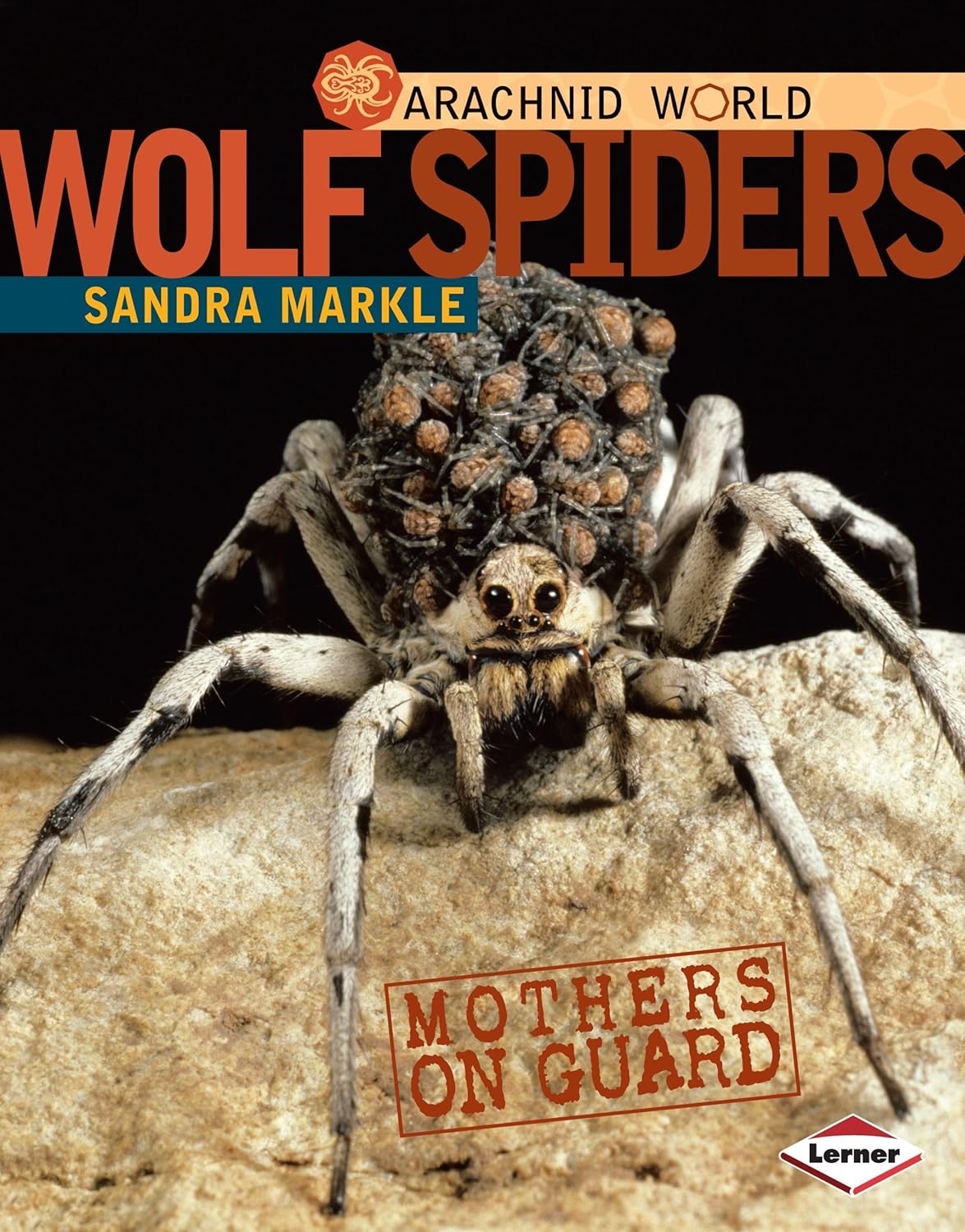 Wolf Spiders: Mothers on Guard (Arachnid World): Markle, Sandra ...