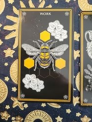 Wild Mystic Oracle Card Deck: A 50-Card Deck and Guidebook: Anastasia ...