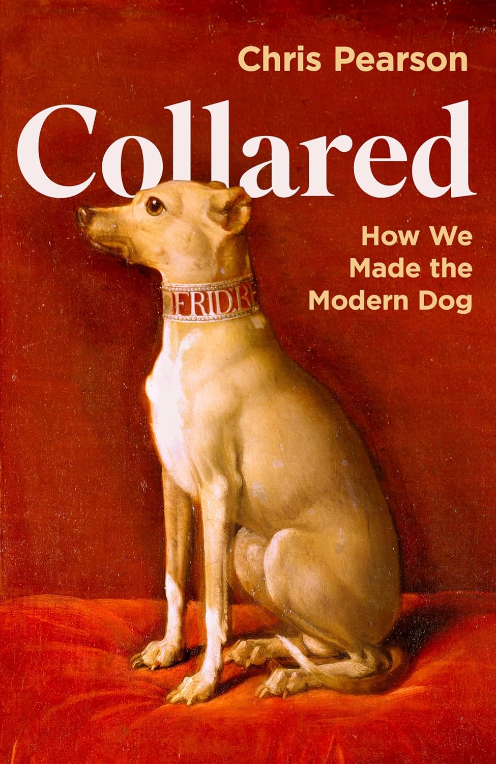Collared: How We Made the Modern Dog - Kindle edition by Pearson, Chris ...