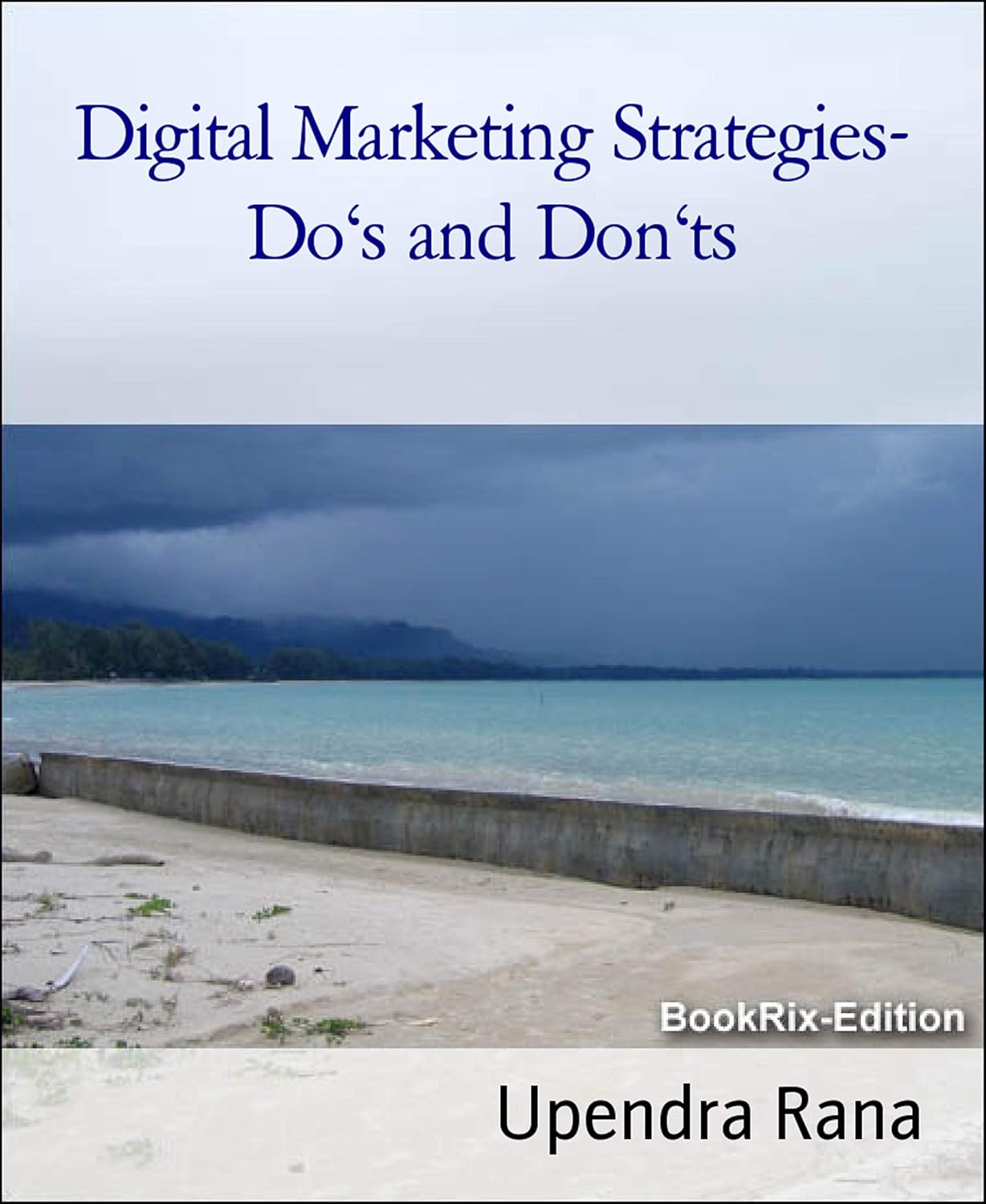 Digital Marketing Strategies- Do's and Don'ts: SMO book eBook : Rana ...