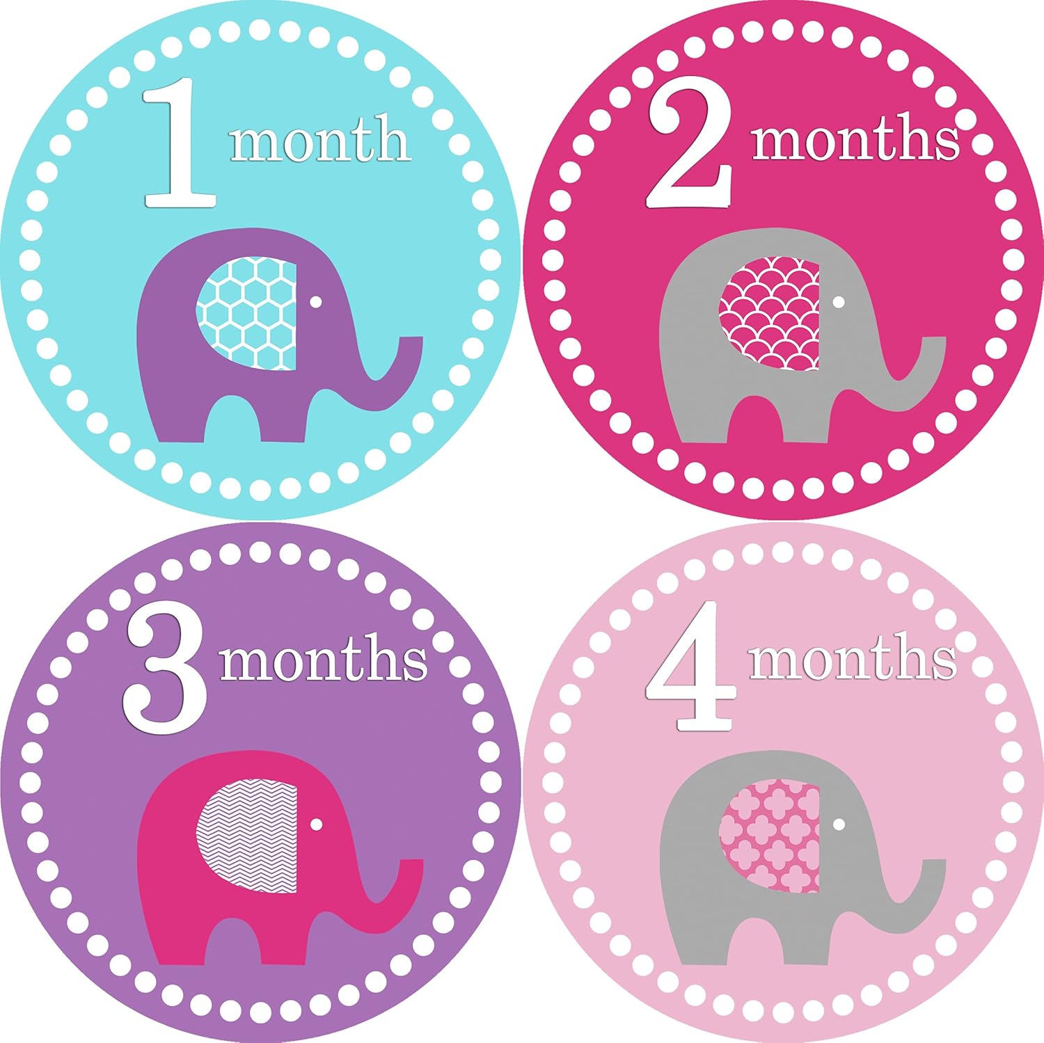 Amazon.com: Baby Girl Monthly Sticker Milestone Stickers Newborn Month ...