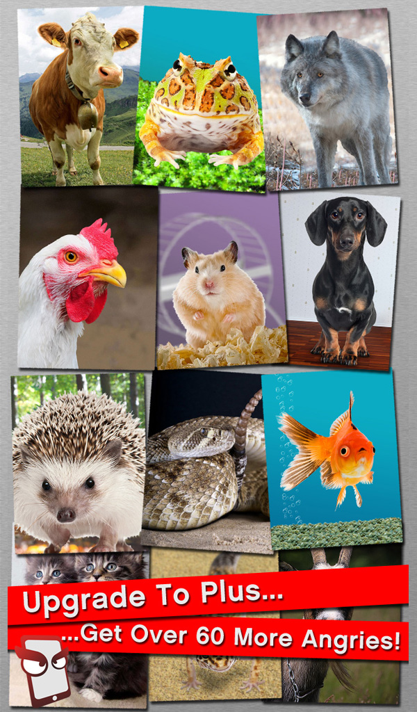 AngryZebra Free - The Angry Zebra Simulator - App on Amazon Appstore