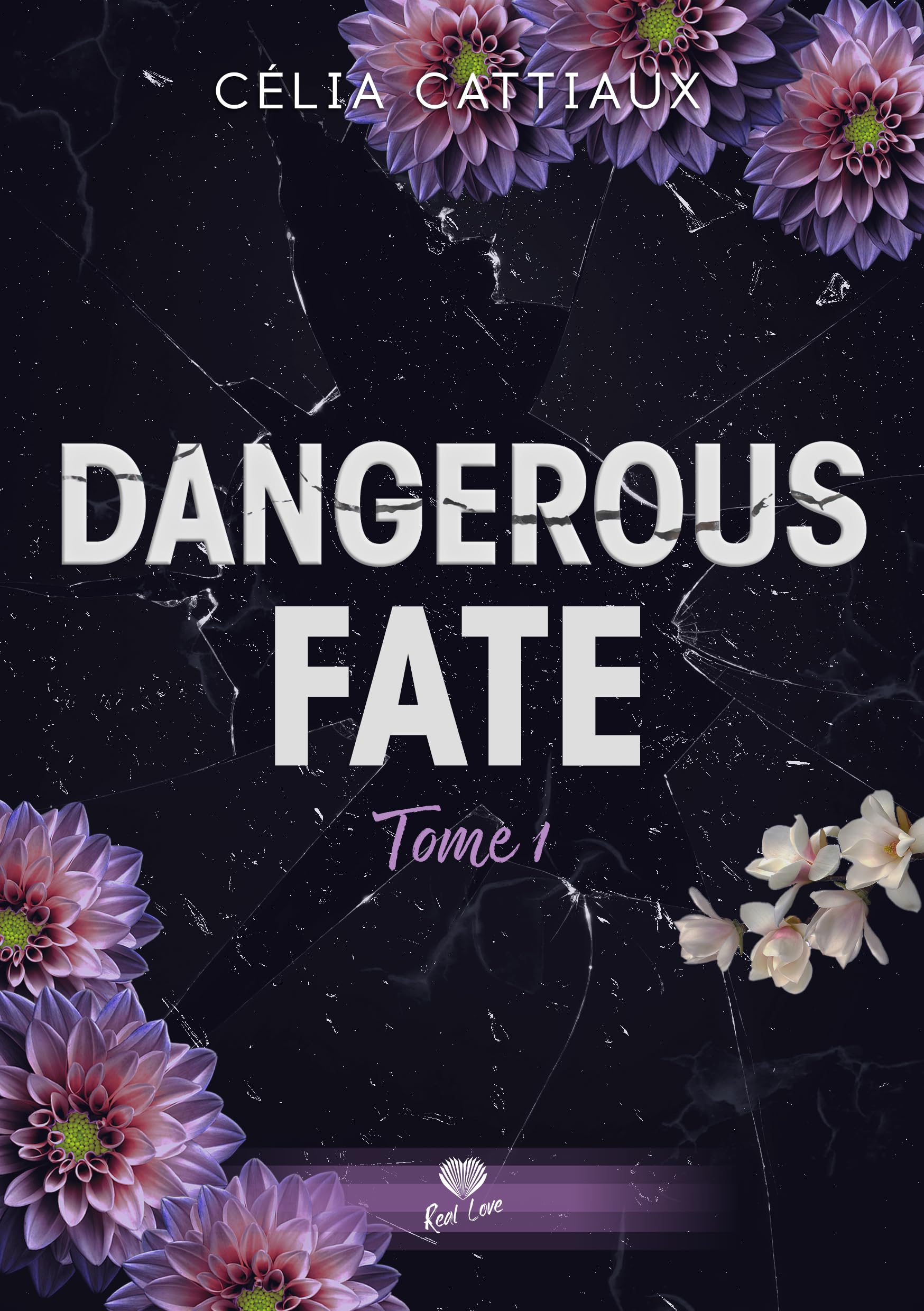 Amazon.fr - Je te retrouverai: Dangerous Fate - T01 - Cattiaux, Célia ...