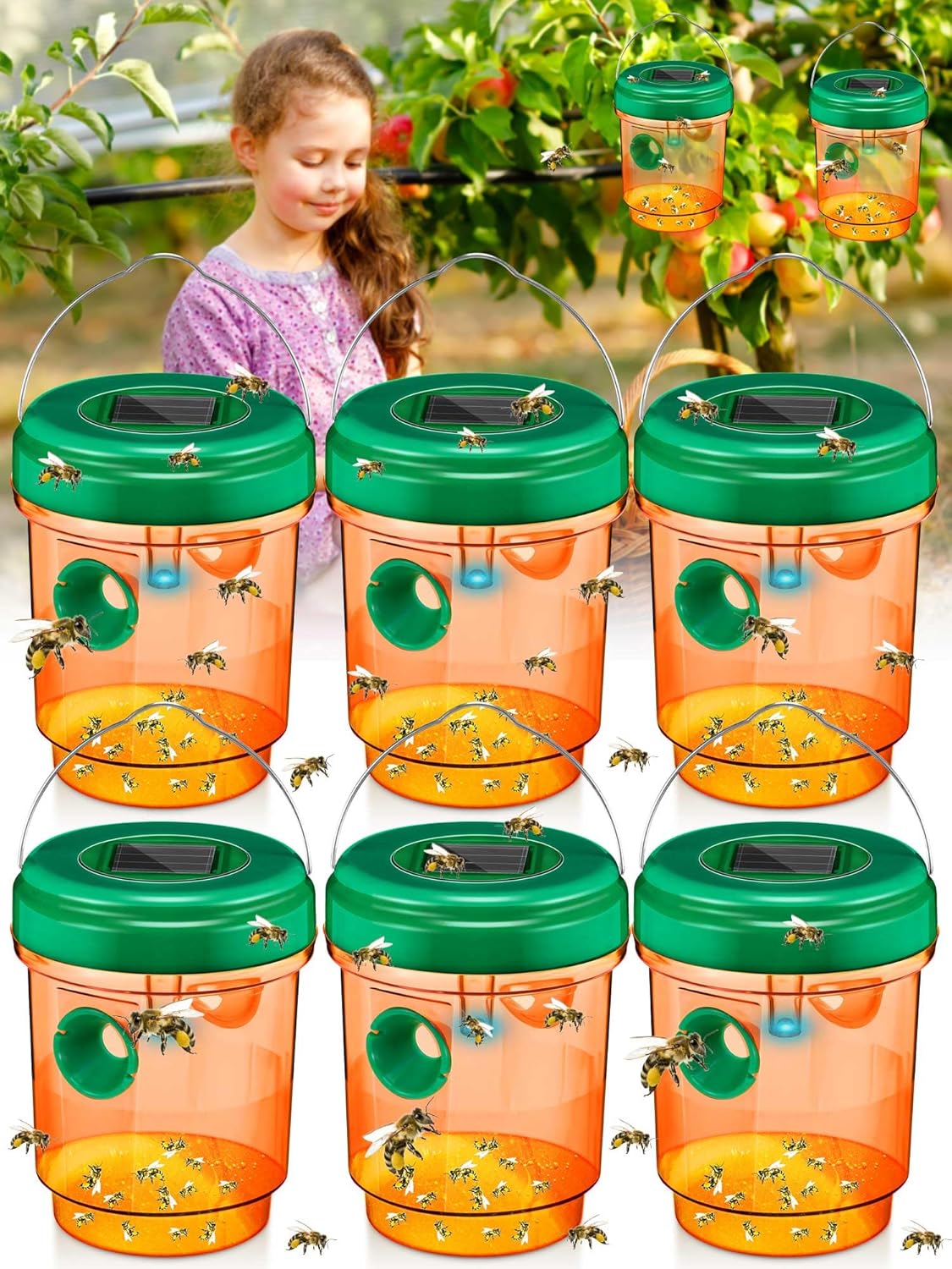Amazon.com : Qualirey 6 Pack Wasp Traps Solar Powered Bee Trap with UV ...