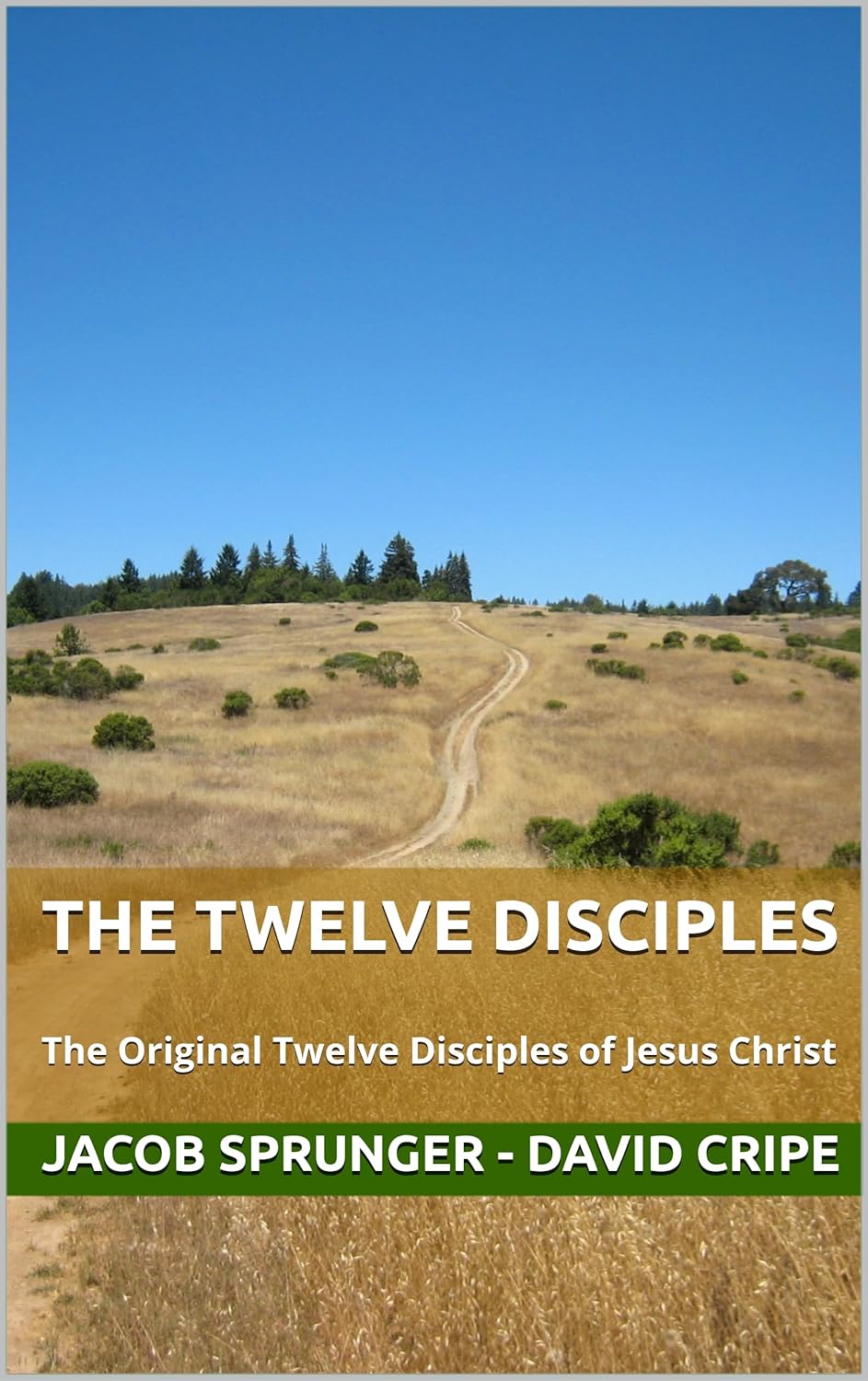 Amazon.com: The Twelve Disciples: The Original Twelve Disciples of ...