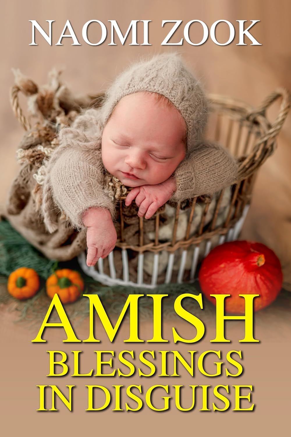 Amazon.com: Amish Blessings in Disguise eBook : Zook, Naomi: Books