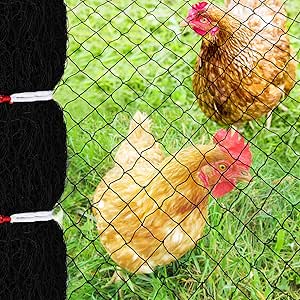 Amazon.com : 25 x 50 Ft Bird Netting with 2.4 in Square Mesh, Reusable Garden Netting for ...