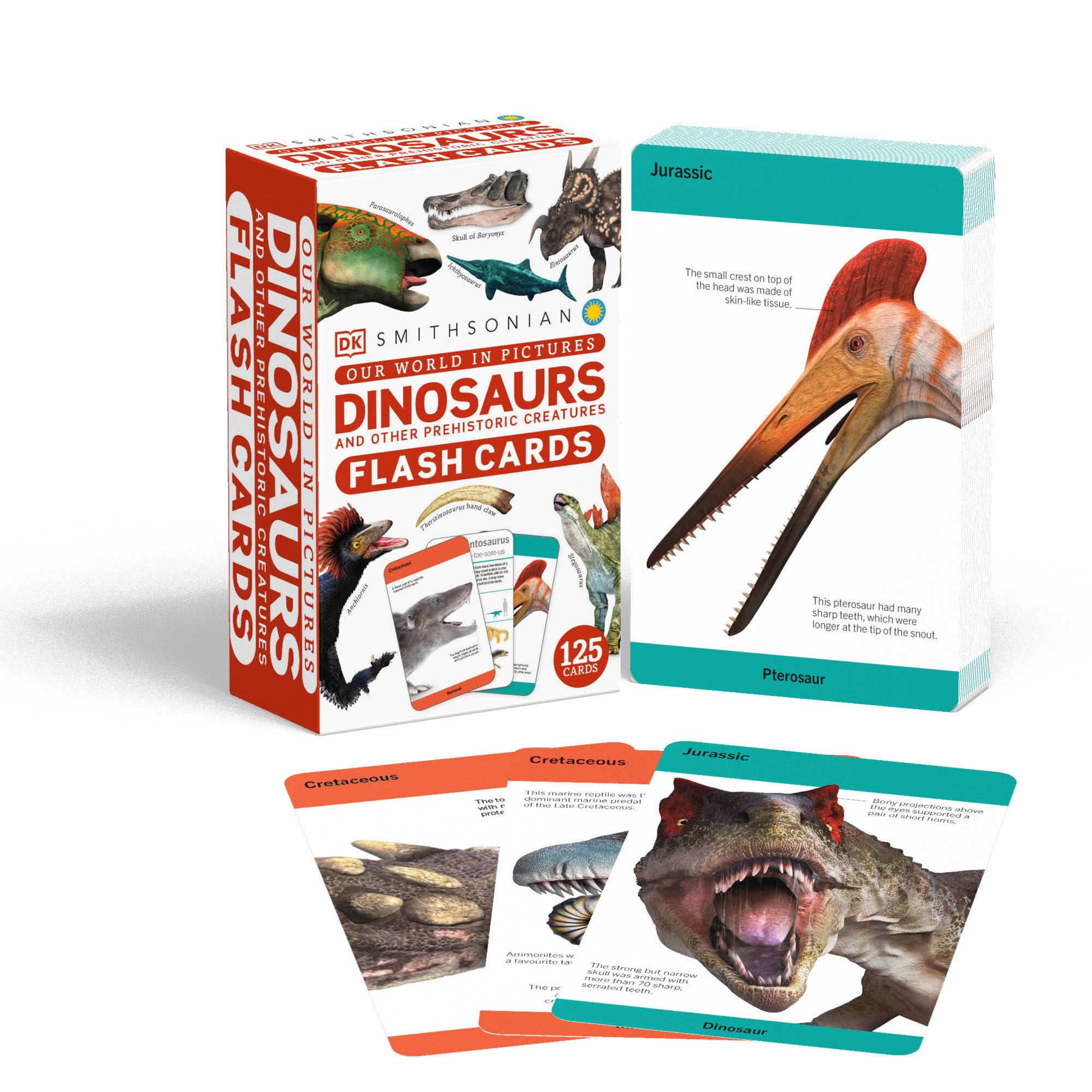 Our World in Pictures Dinosaurs and Other Prehistoric Creatures Flash Cards (DK Our World in ...