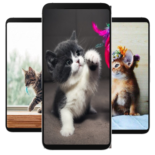 Cute Kitten Wallpapers - App on Amazon Appstore