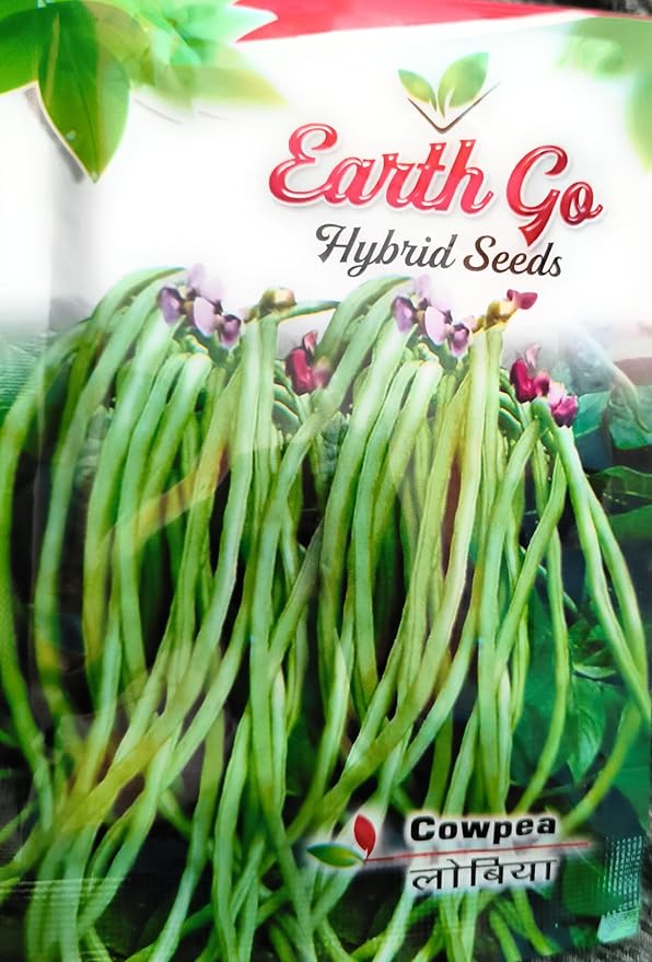 HYBRID LOBIA SEEDS HIGHEST YIELDING VARIETY : Amazon.in: Garden & Outdoors