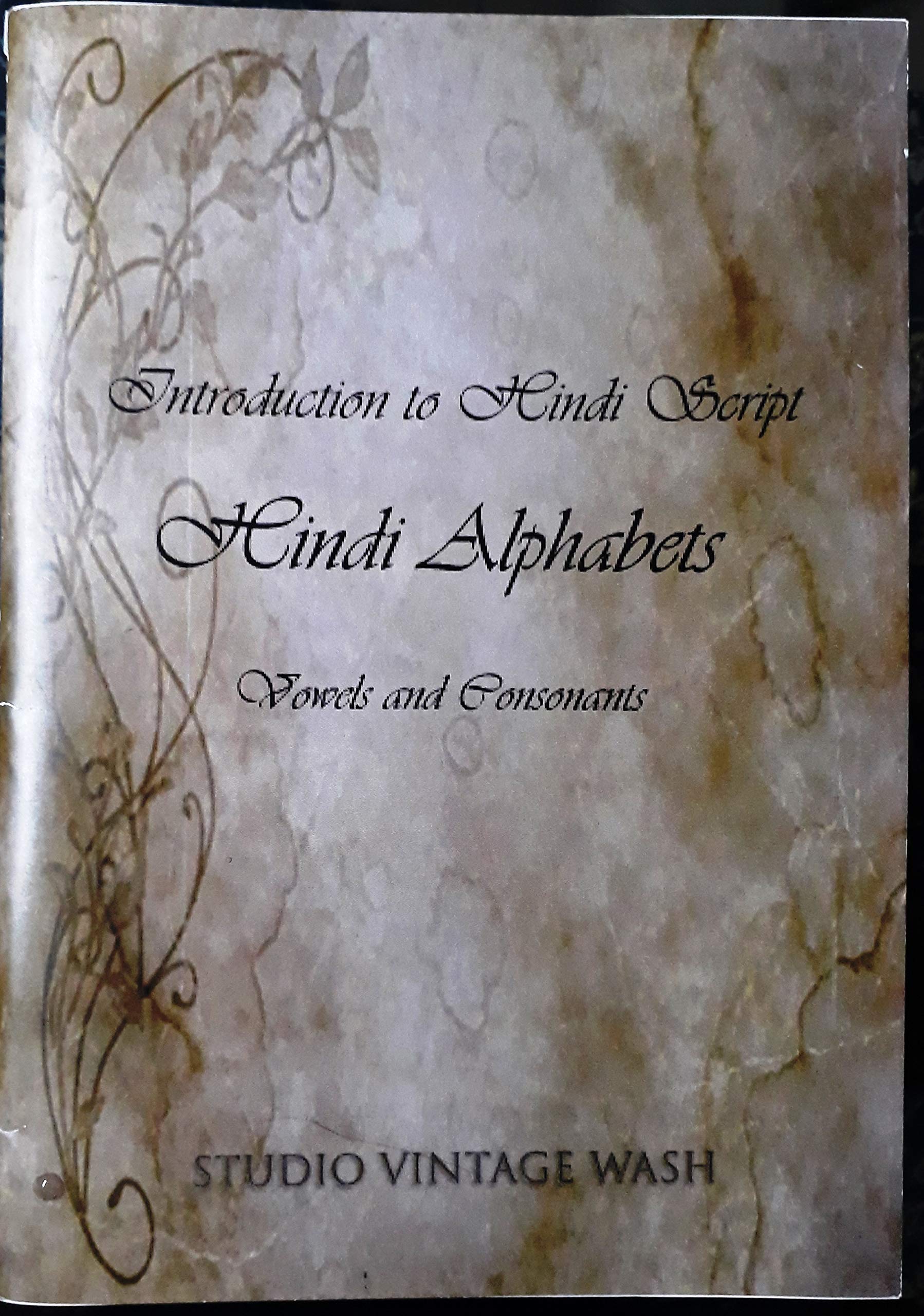 Buy INTRODUCTION TO HINDI SCRIPT: Hindi Alphabets - Vowels and ...