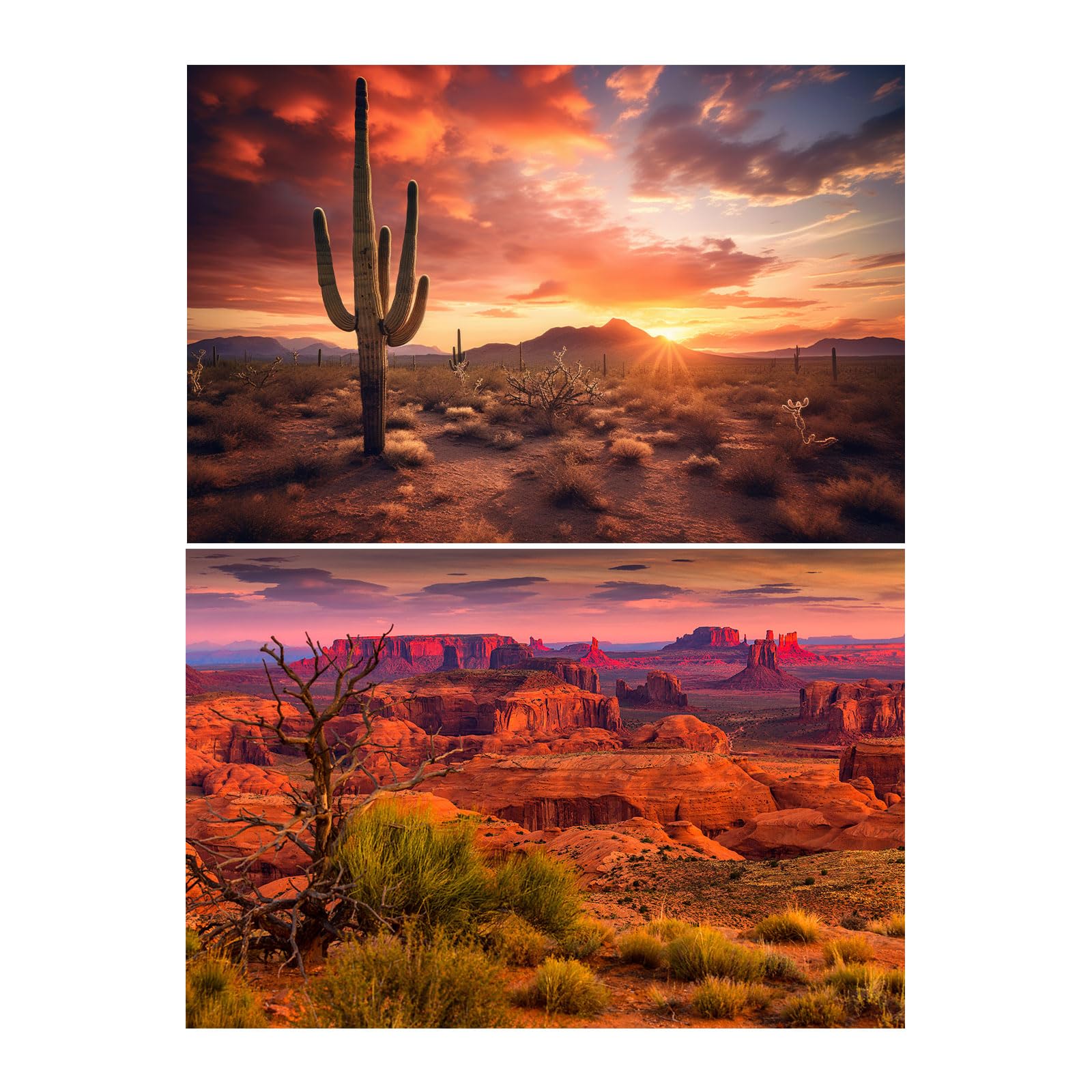 Desert Terrarium Background Amazon.com : AWERT 72x18 Inches Sun And