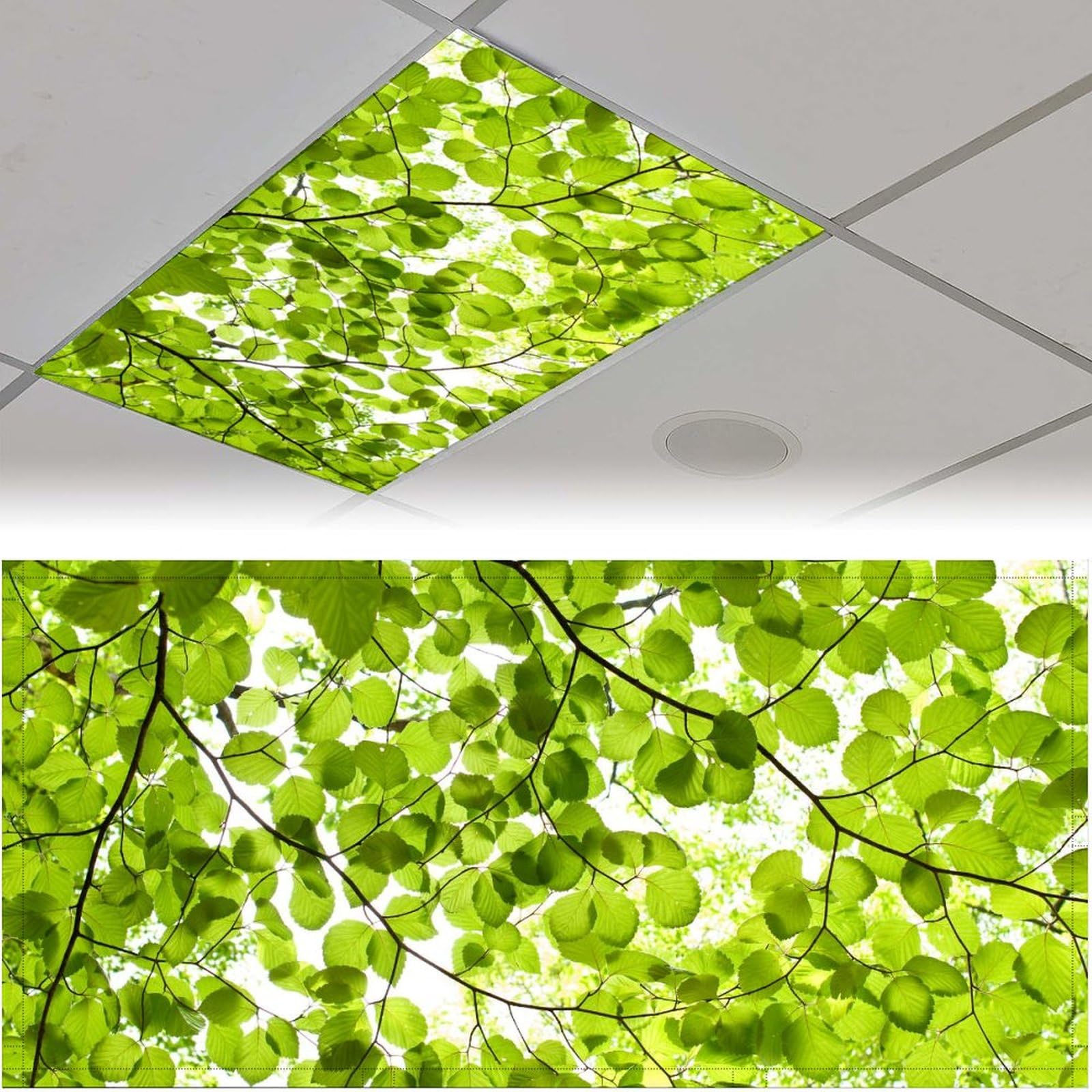 2 Pcs Fluorescent Light Covers for Ceiling Lights,Spring Leaves ...