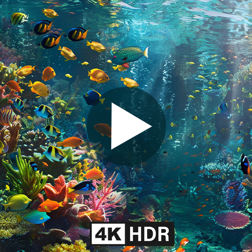 Aquarium Ambience Screensavers: Relaxing Fish TV - App on Amazon Appstore
