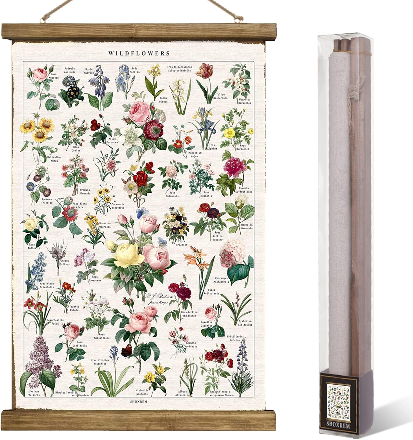 Amazon.com: SHOXREM Vintage Poster,Rustic Art Prints, Retro Style of ...