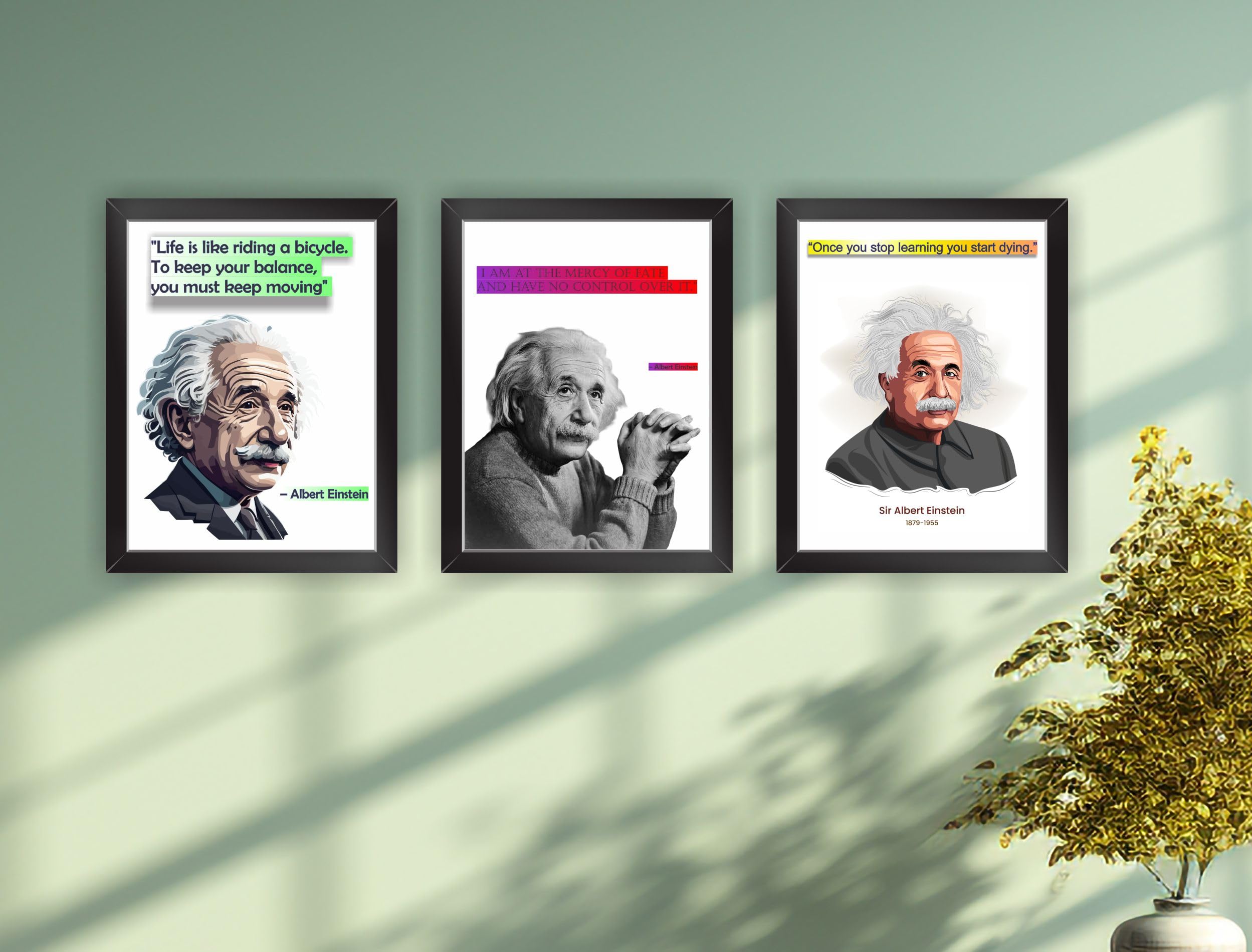 Einstein Fate Quotes