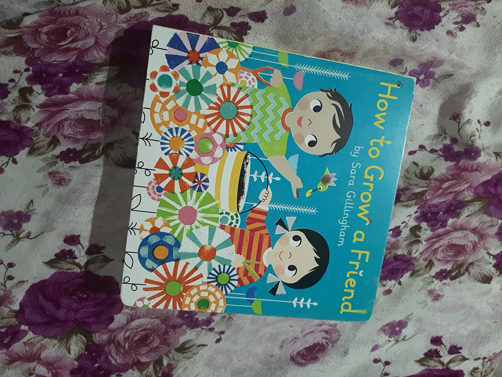 How to Grow a Friend : Gillingham, Sara: Amazon.in: Books