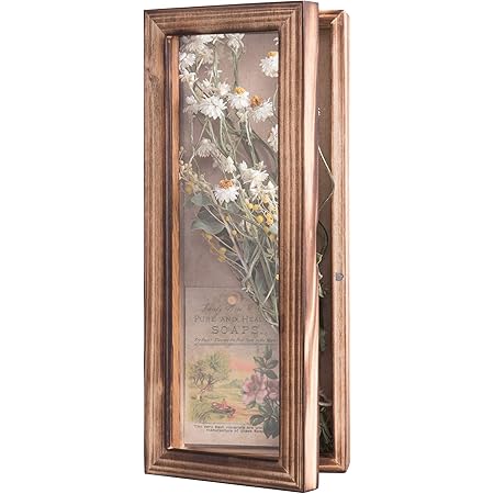 Amazon.com - Ukulele Fiddle Violin Display Case Shadow Box with Hanger ...