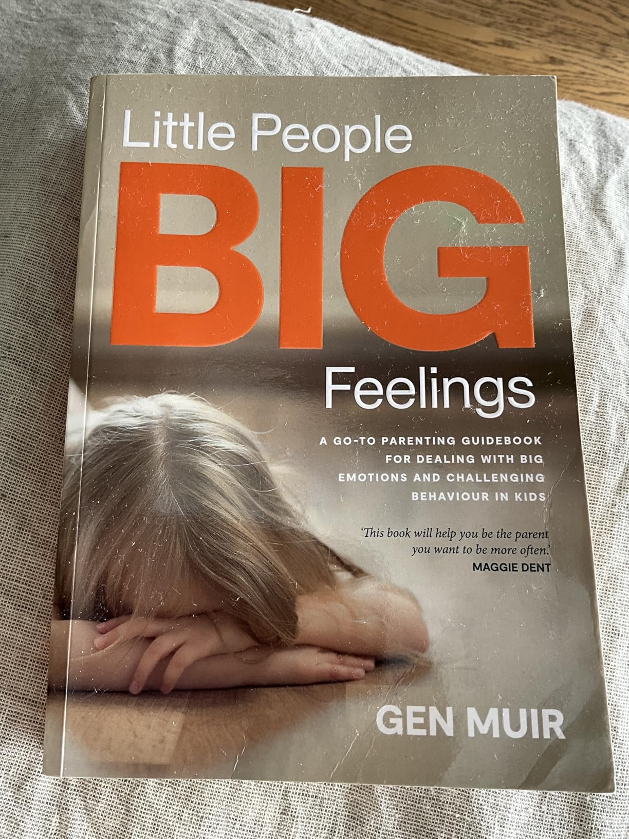 Little People, Big Feelings : Muir, Gen: Amazon.com.au: Books