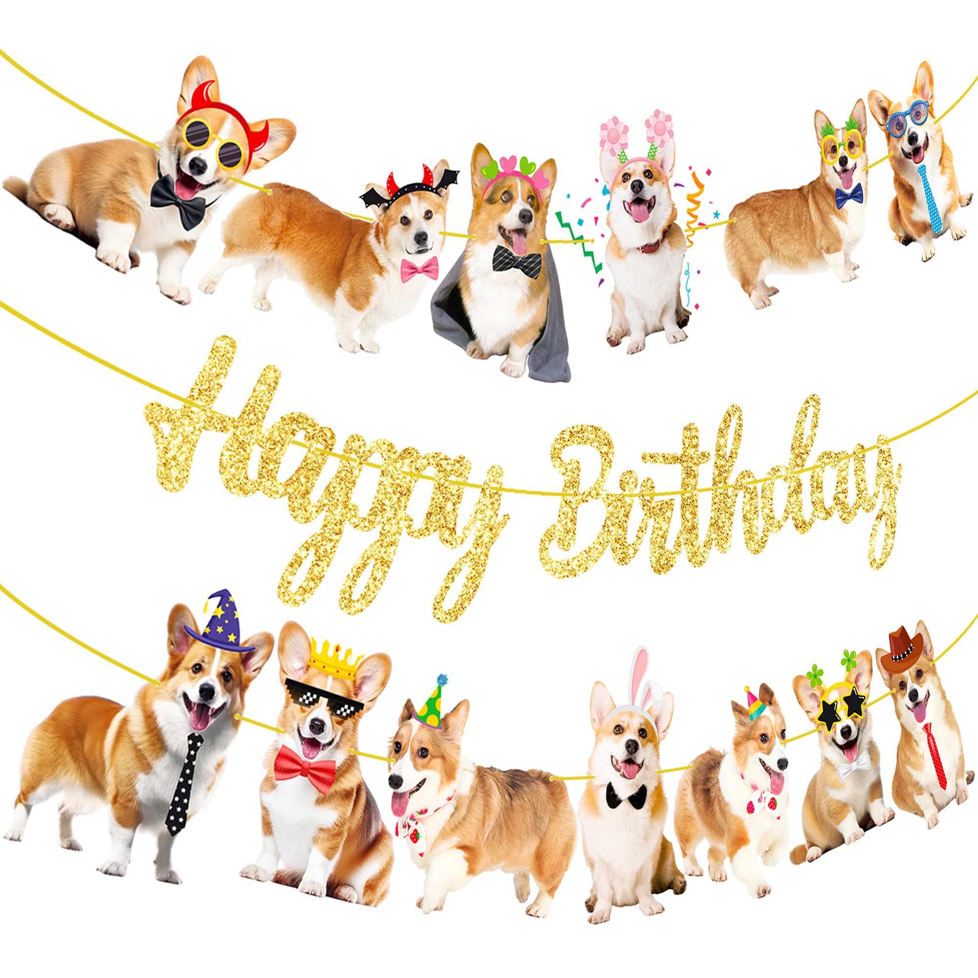Birthday Corgi Puppy