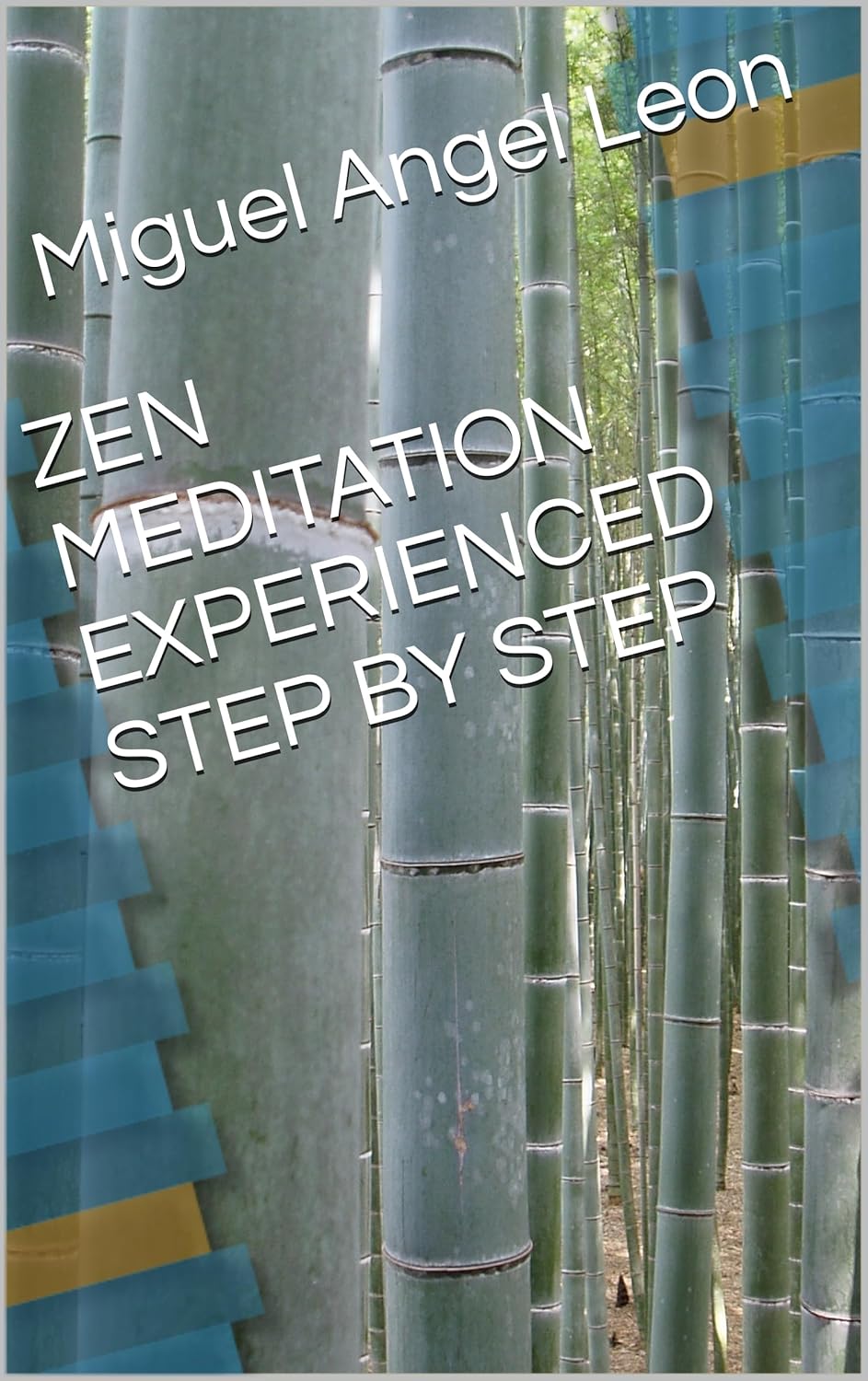Amazon.co.jp: ZEN MEDITATION EXPERIENCED STEP BY STEP: A Practical ...