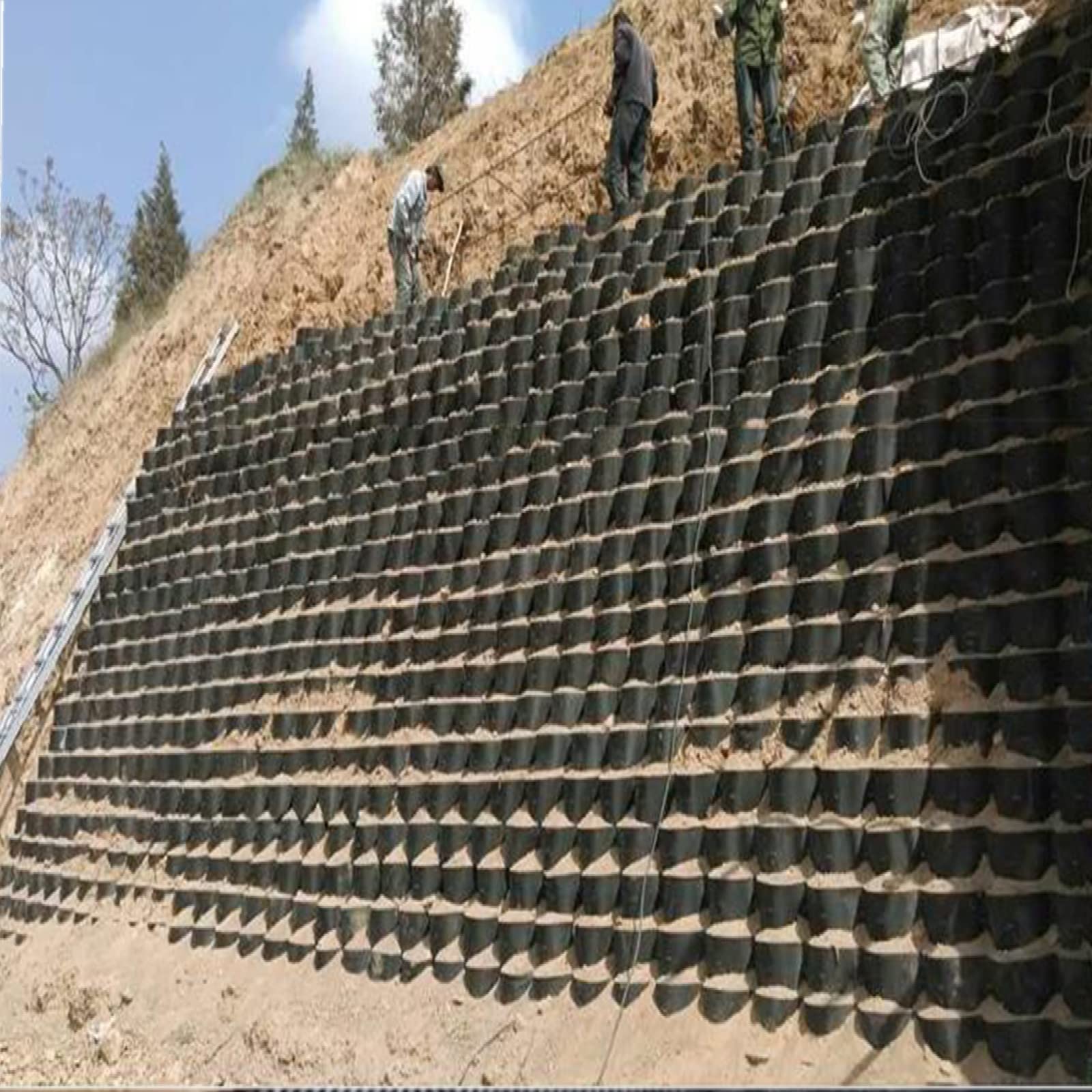 Amazon.com : WDJBPSH Cuttable Groundgrid retaining Walls, Permeable ...