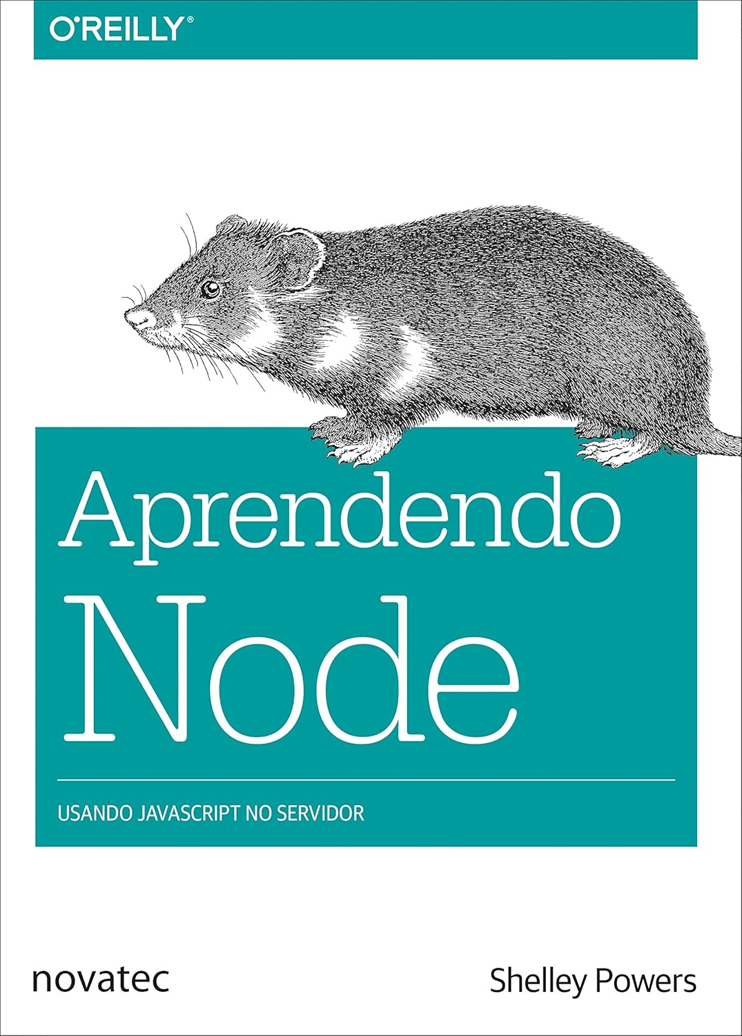 Aprendendo Node: Usando JavaScript no servidor eBook : Powers, Shelley ...