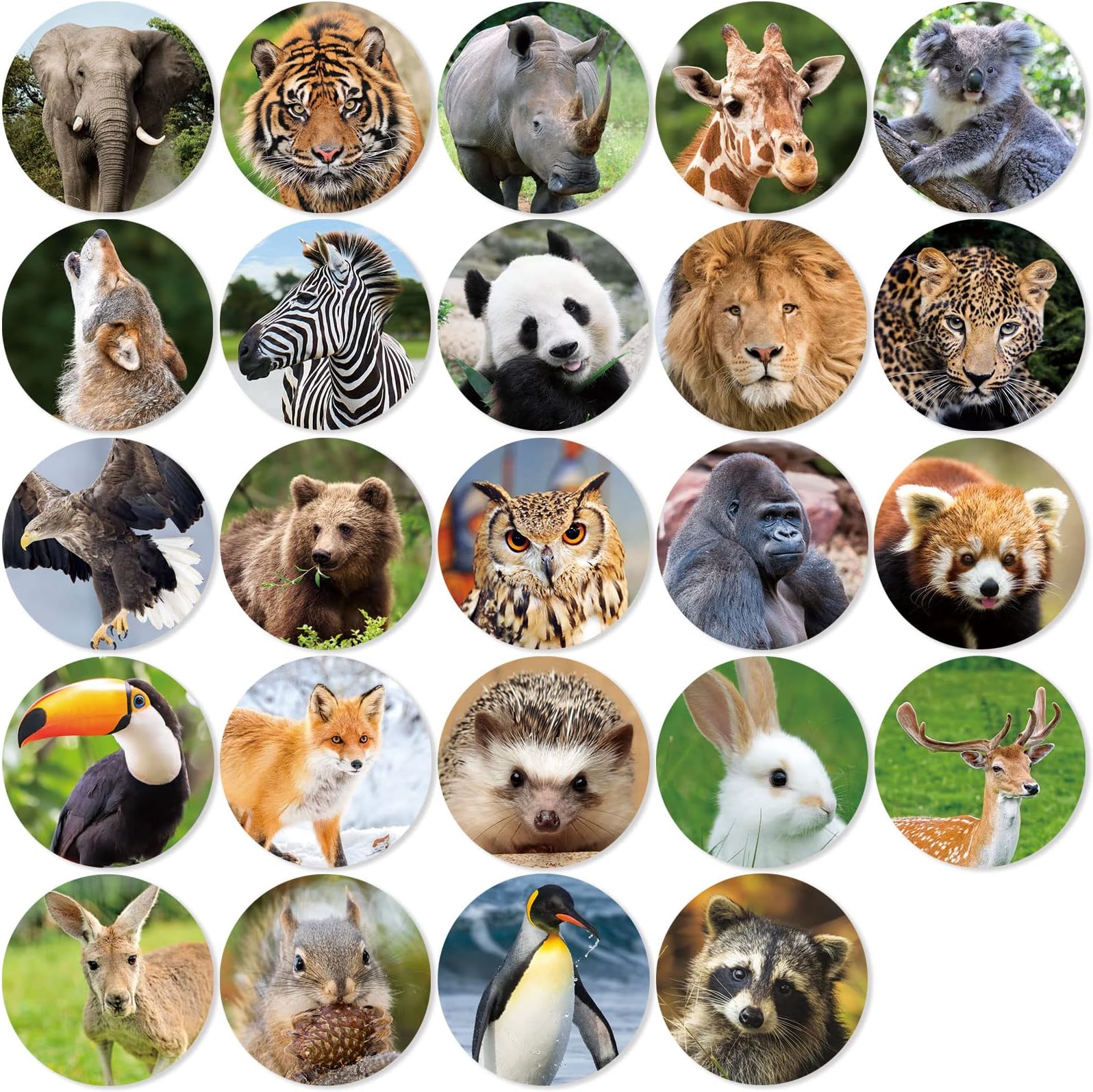Amazon.com: 1000pcs Realistic Farm Animal Zoo Animal Label Roll ...