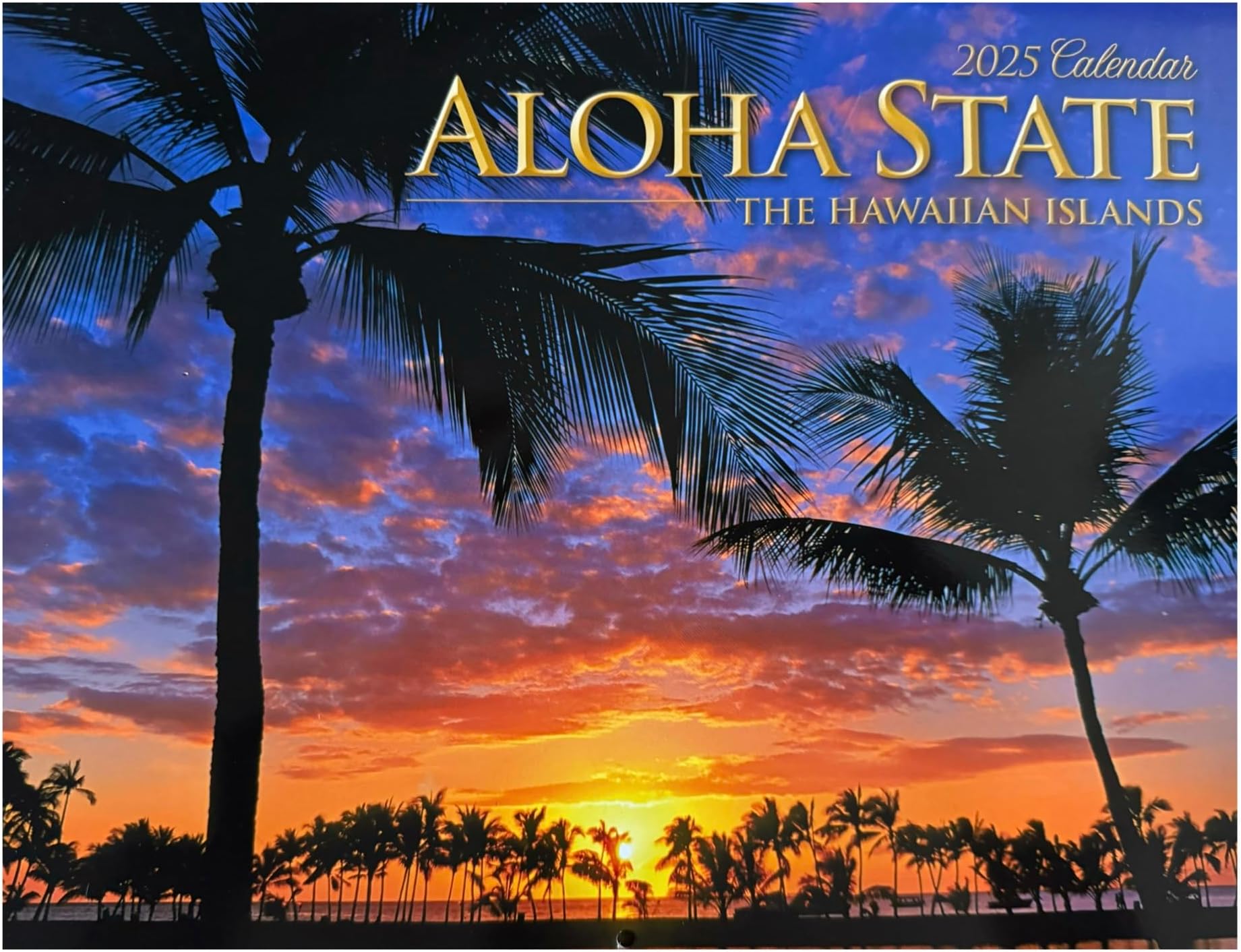 Amazon.com: Deluxe Wall Calendar 2026 Aloha Hawaii - Vintage Wall Art ...