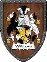 Williams Family Shield Williams (British) Coat Of Arms (Family Crest)