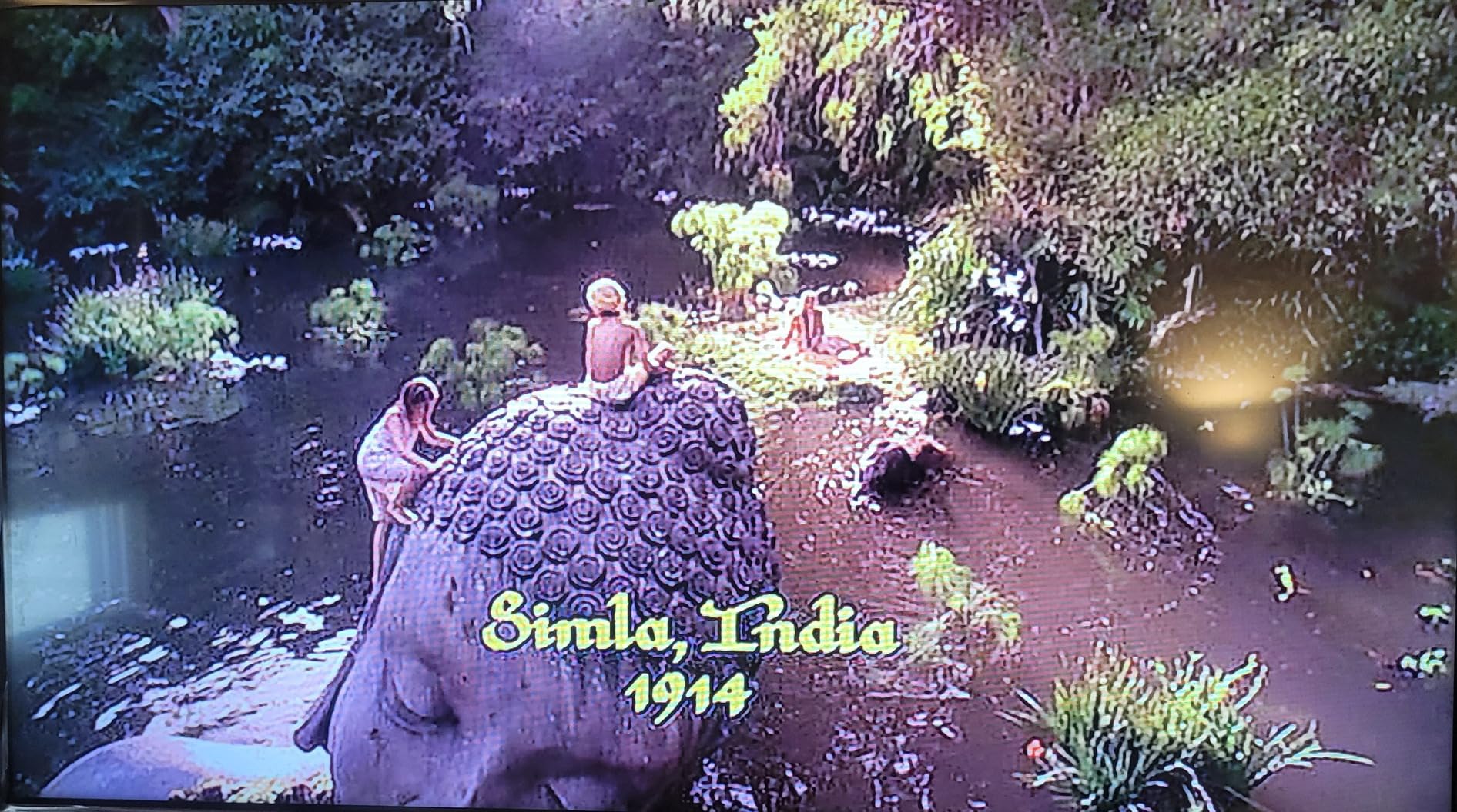 Amazon.com: A Little Princess : Liesel Matthews, Eleanor Bron, Liam ...