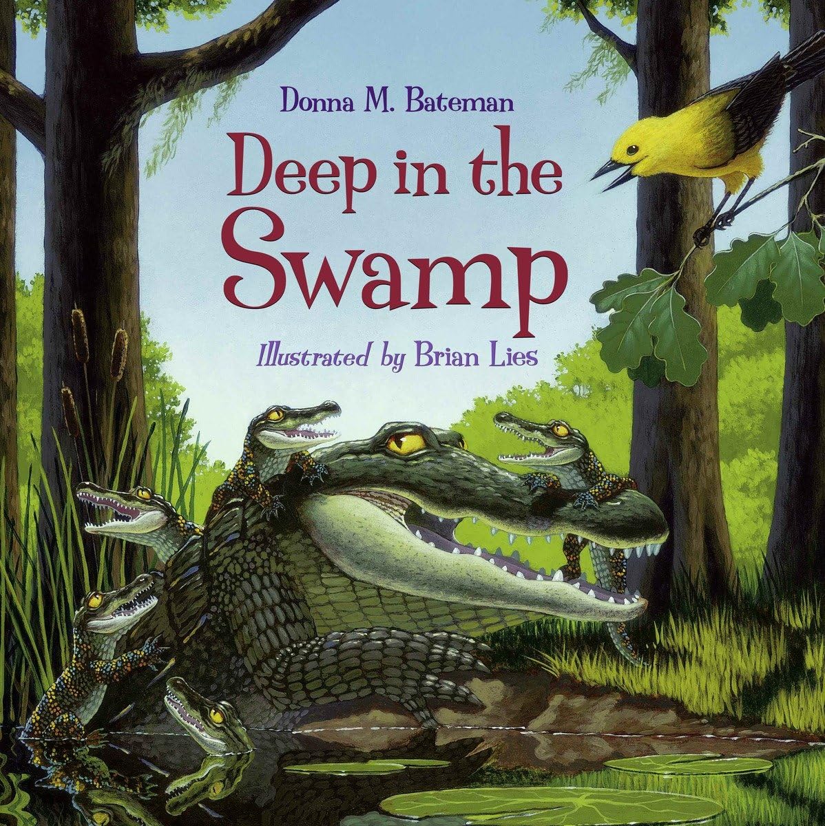 Deep in the Swamp: Bateman, Donna M., Lies, Brian: 9781570915970 ...