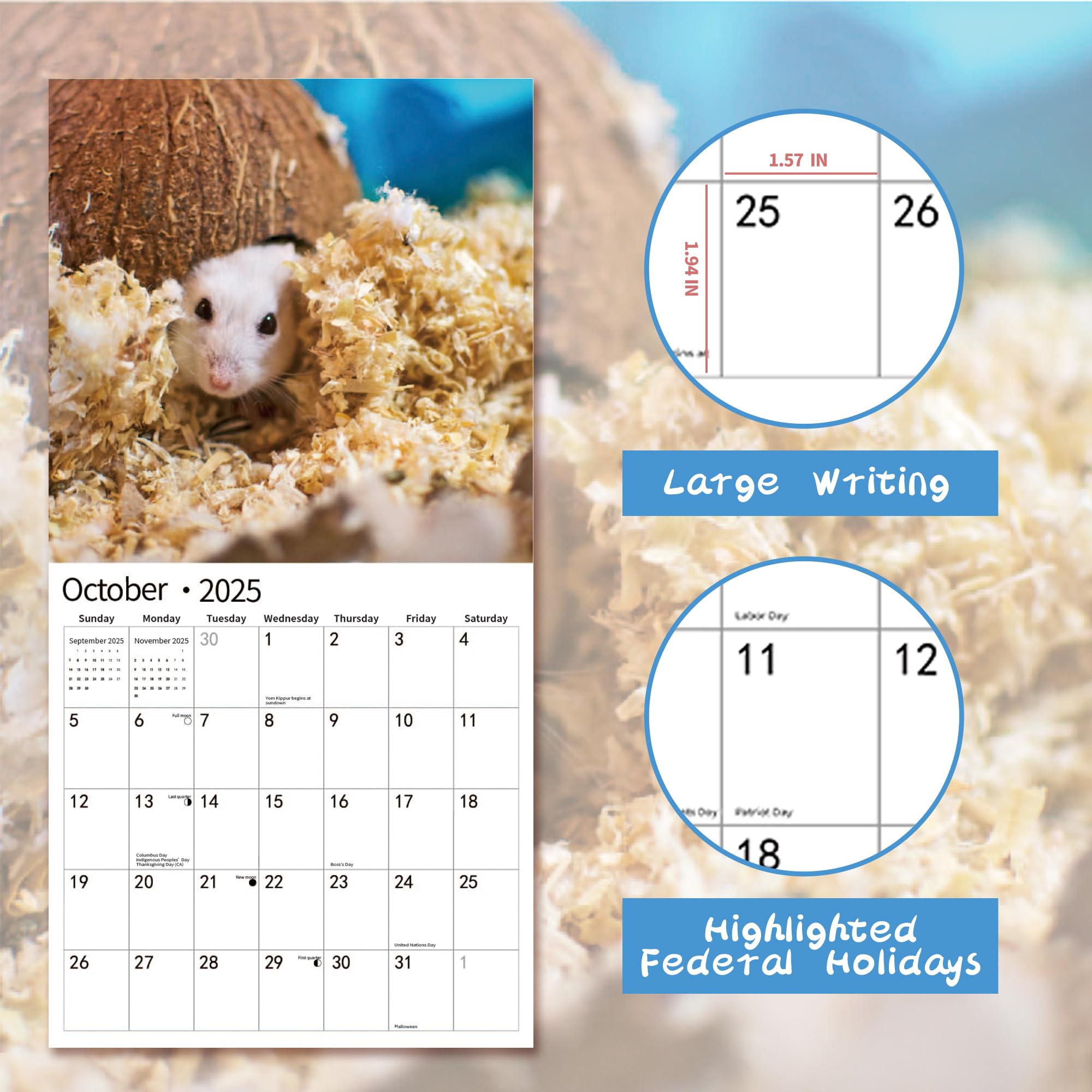 Snapklik.com : 2025 Wall Calendar,Calendar 2025, January 2025 ...