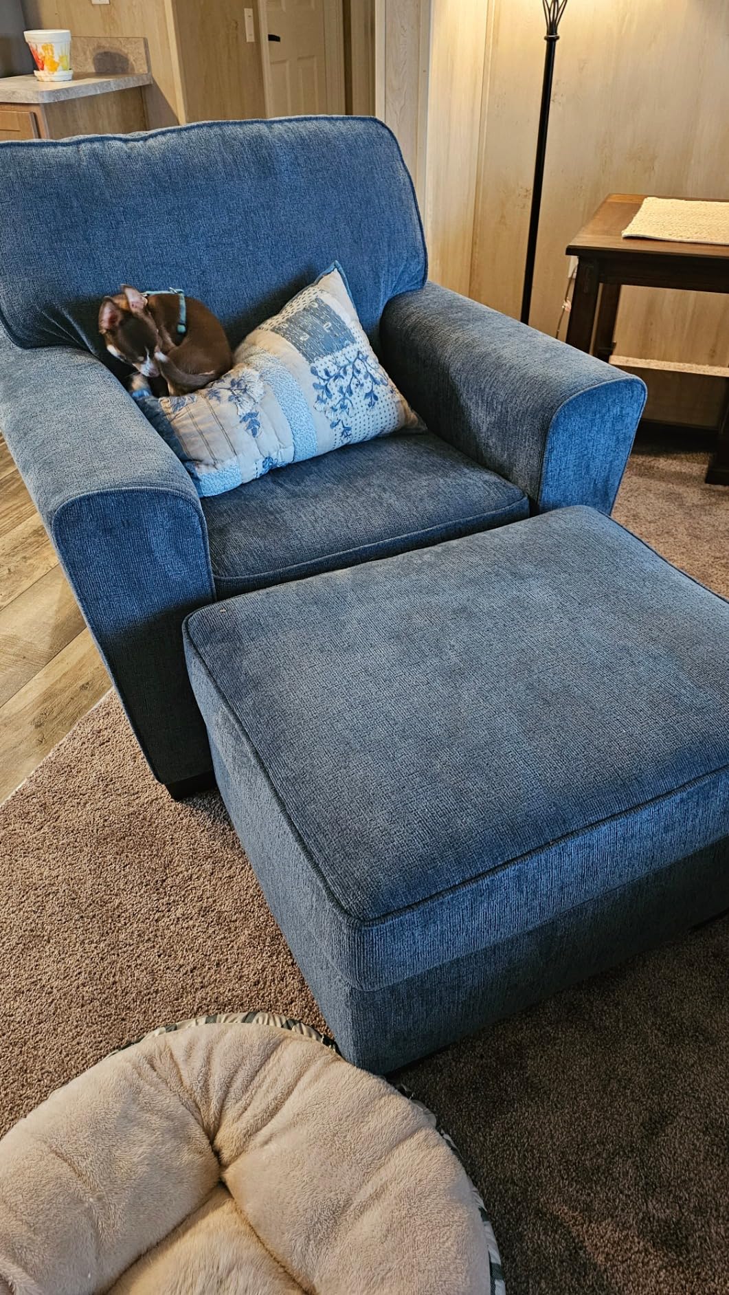 Amazon.com - Signature Design by Ashley Cashton Modern Upholstered ...