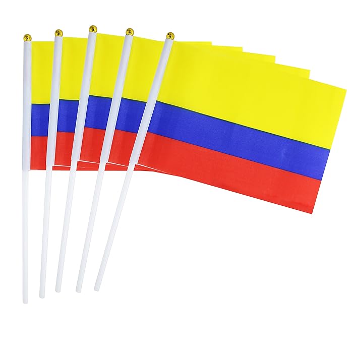 Buy Kind Girl 25 Pack Hand Held Small Mini Flag Brazil Flag Brazilian ...