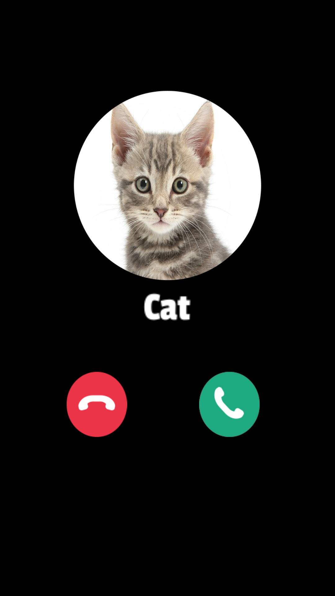 Incoming Call From Cat - Free Fake Simulator Id Pro - App on Amazon ...