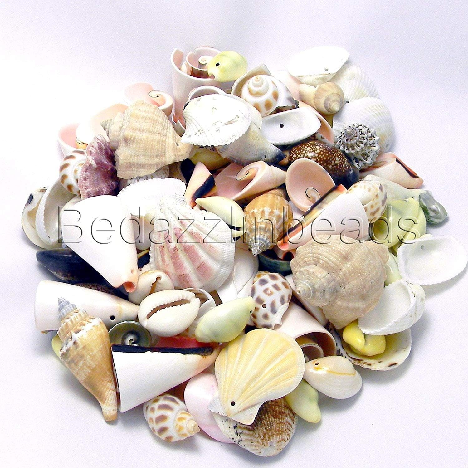 Amazon.com: 1 Pound Assorted Whole Shell Seashell Charms and Beads with ...