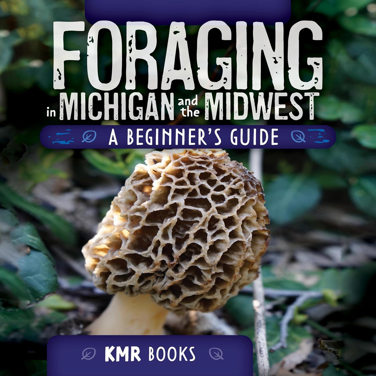 Amazon.com: Foraging in Michigan and the Midwest: A Beginner's Guide ...