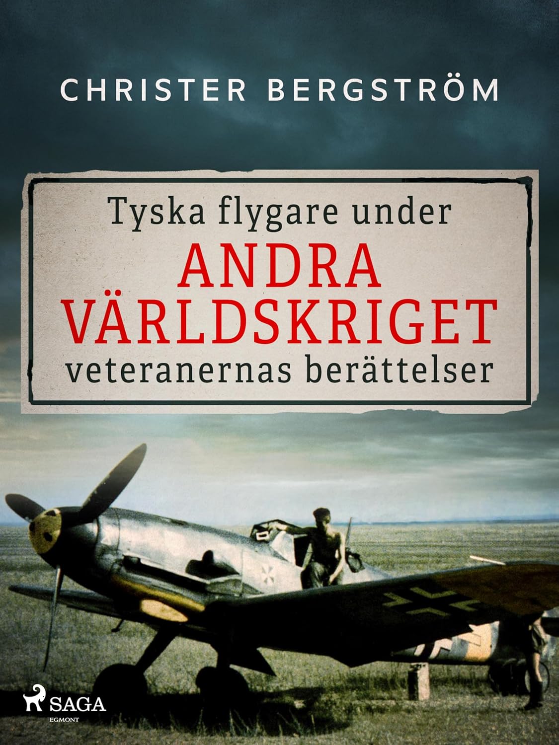 Amazon.com: Tyska flygare under andra världskriget : veteranernas ...
