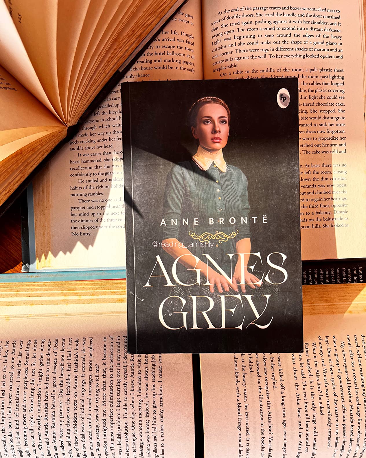 Buy Agnes Grey Book Online at Low Prices in India | Agnes Grey Reviews ...