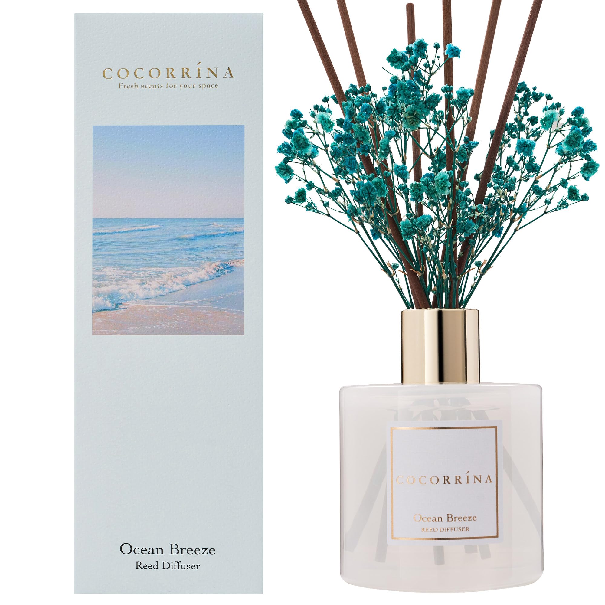 COCORRÍNA Reed Diffuser Sets - 200ml Ocean Breeze Scented Diffuser with ...
