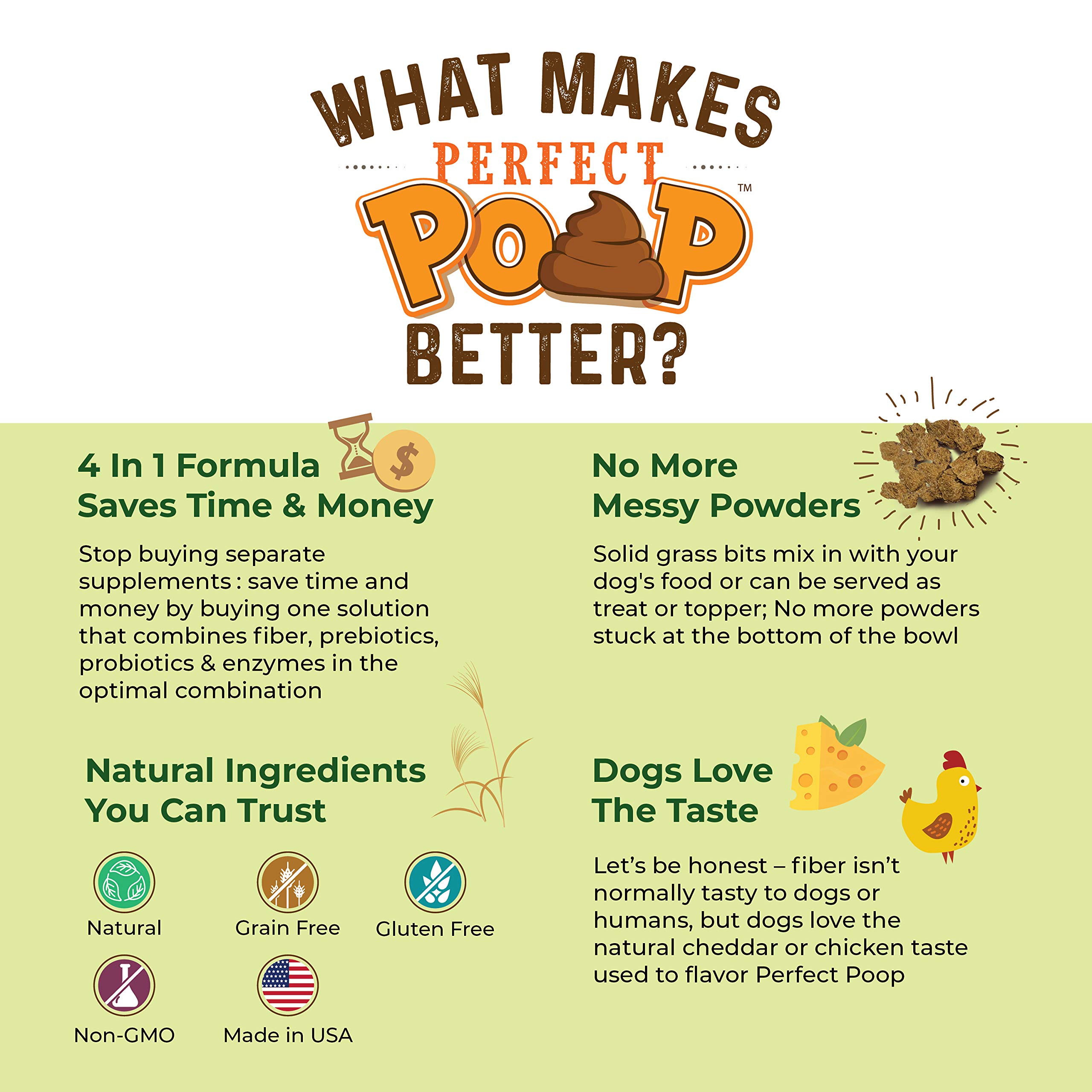 How Do I Make My Dogs Poop More Solid
