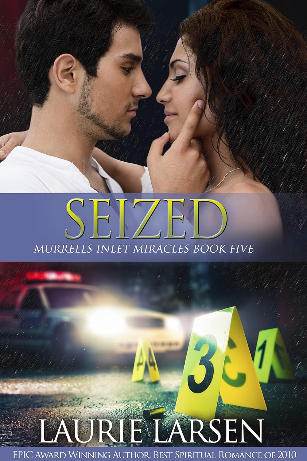 Amazon.com: Seized (Murrells Inlet Miracles Book 5) eBook : Larsen ...