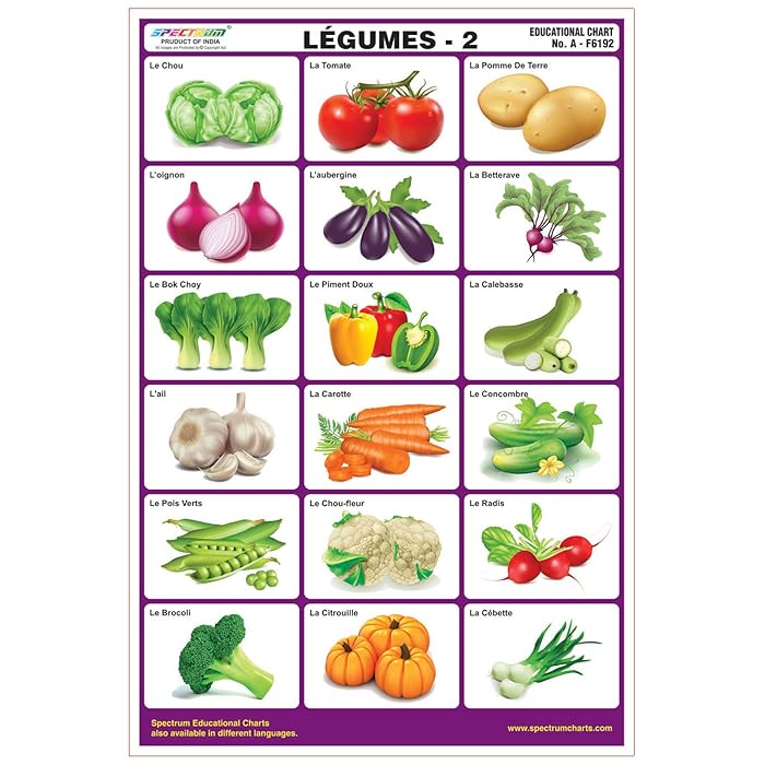 Buy Spectrum French Language Vegetables-2 Laminated Wall Chart ...
