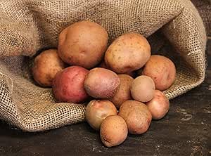 Amazon.com : Farm Direct- Organic Seed Potatoes- Kerr's Pink 2 lbs ...