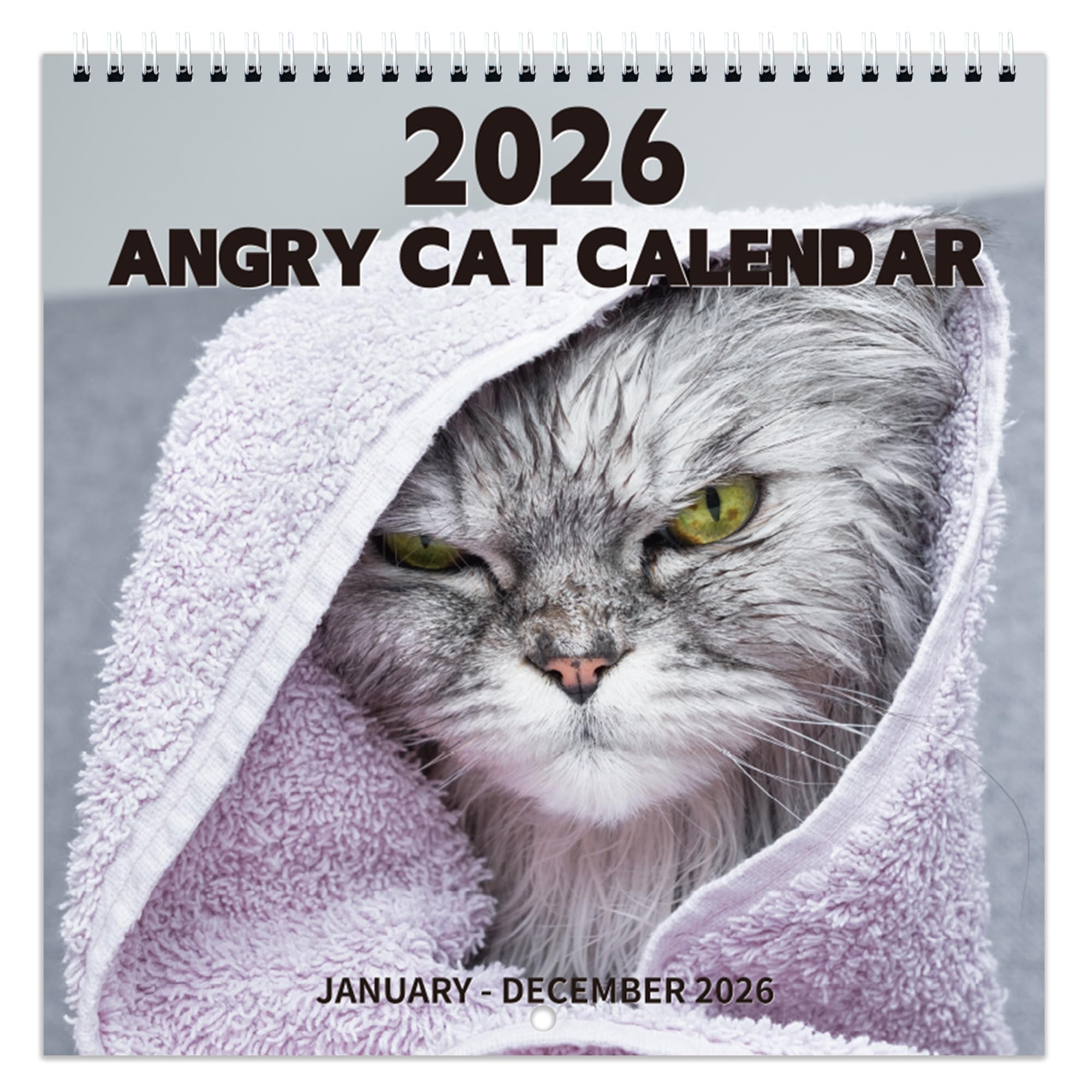 How To Make A Cat Calendar