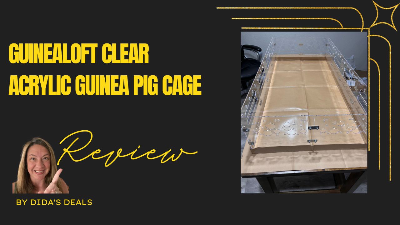 Watch GuineaLoft Clear Acrylic Guinea Pig Cage Review on Amazon Live