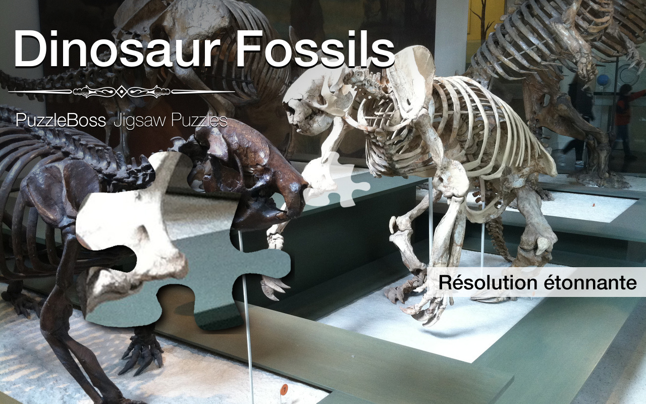 Dinosaur Fossils Jigsaw Puzzles - App on Amazon Appstore
